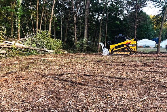 FORESTRY MULCHING – Maritime Mulching